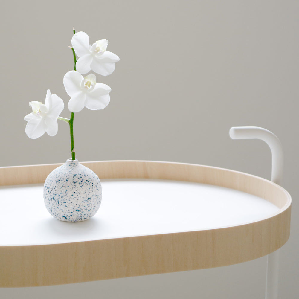 COLOR DROPS - MOHEIM store (日本)